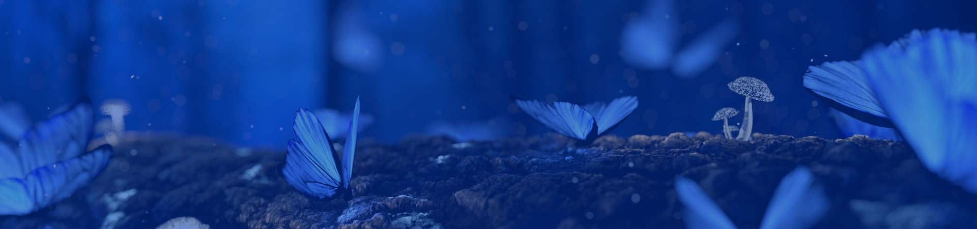 Trilax - Support: Hier finden Sie HIlfe zu unseren Produkten